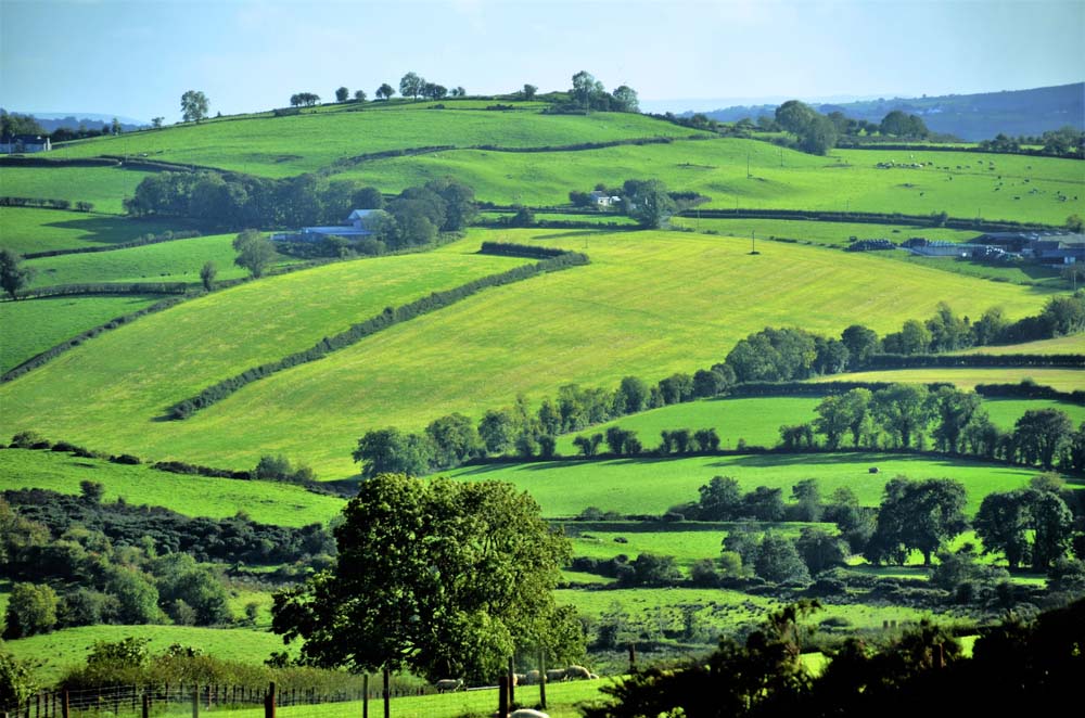 Acres Scheme - Ask Me Landscaping